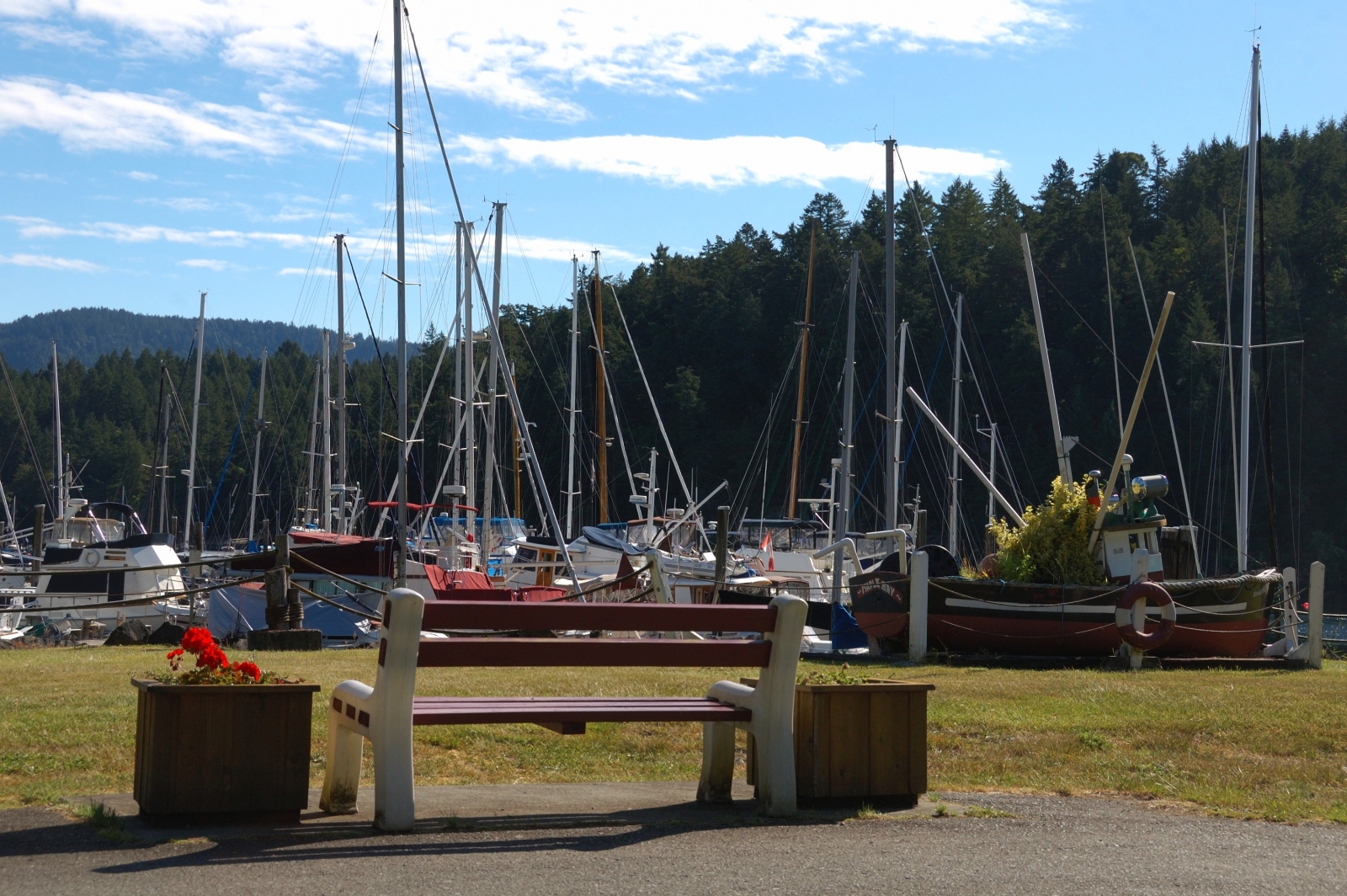 Maple Bay Marina - A Safe-haven for Boaters Since 1945