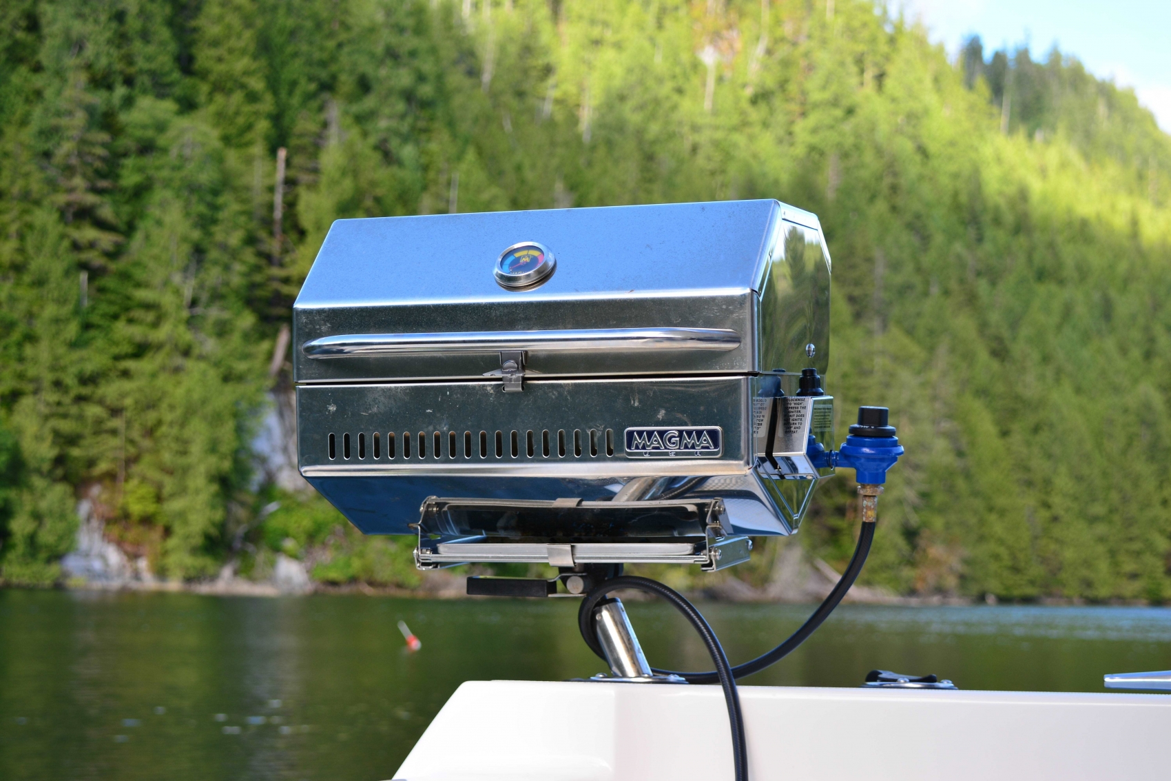 Barbecue Grill Safety