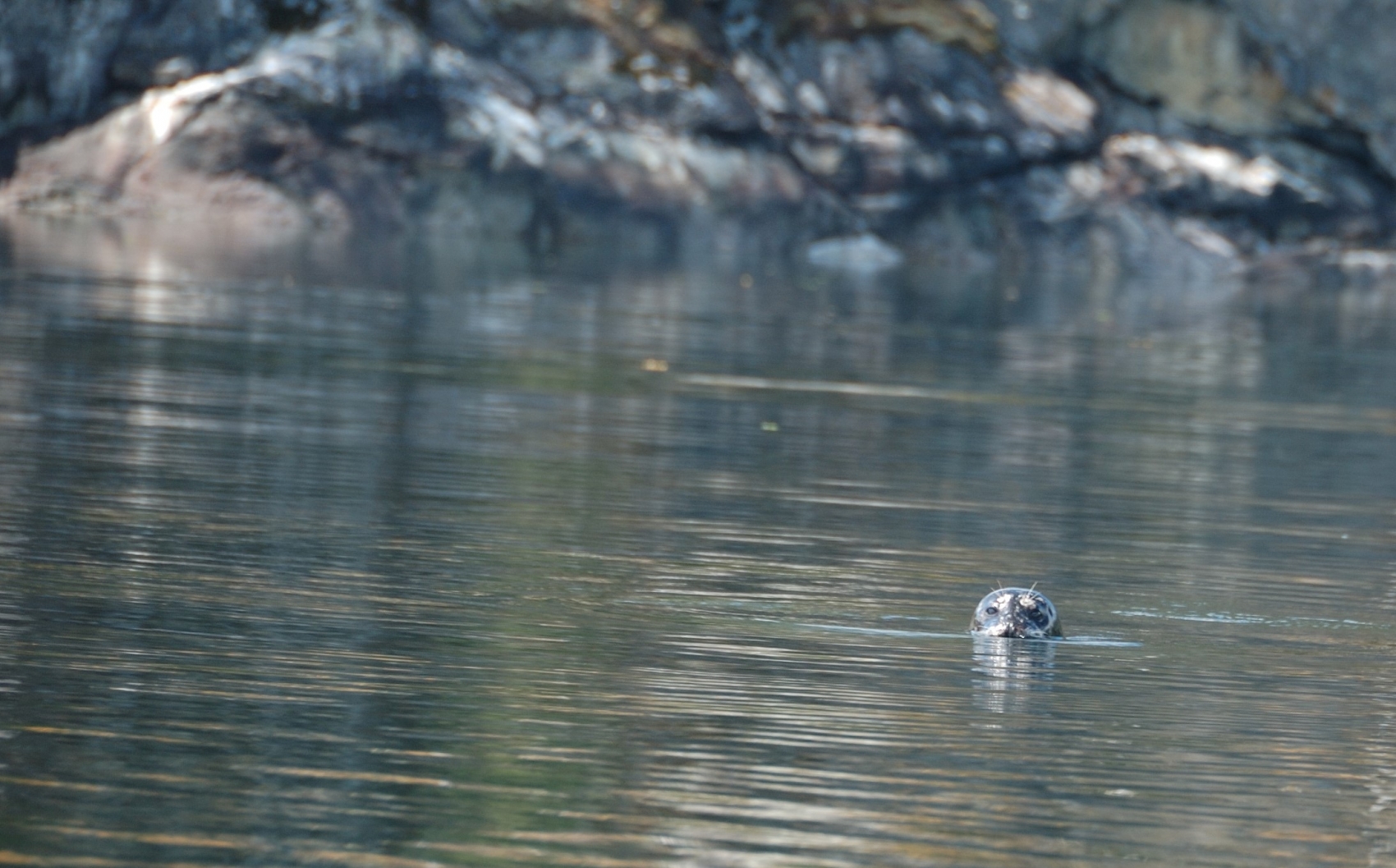Octopus Island Provincial Marine Park