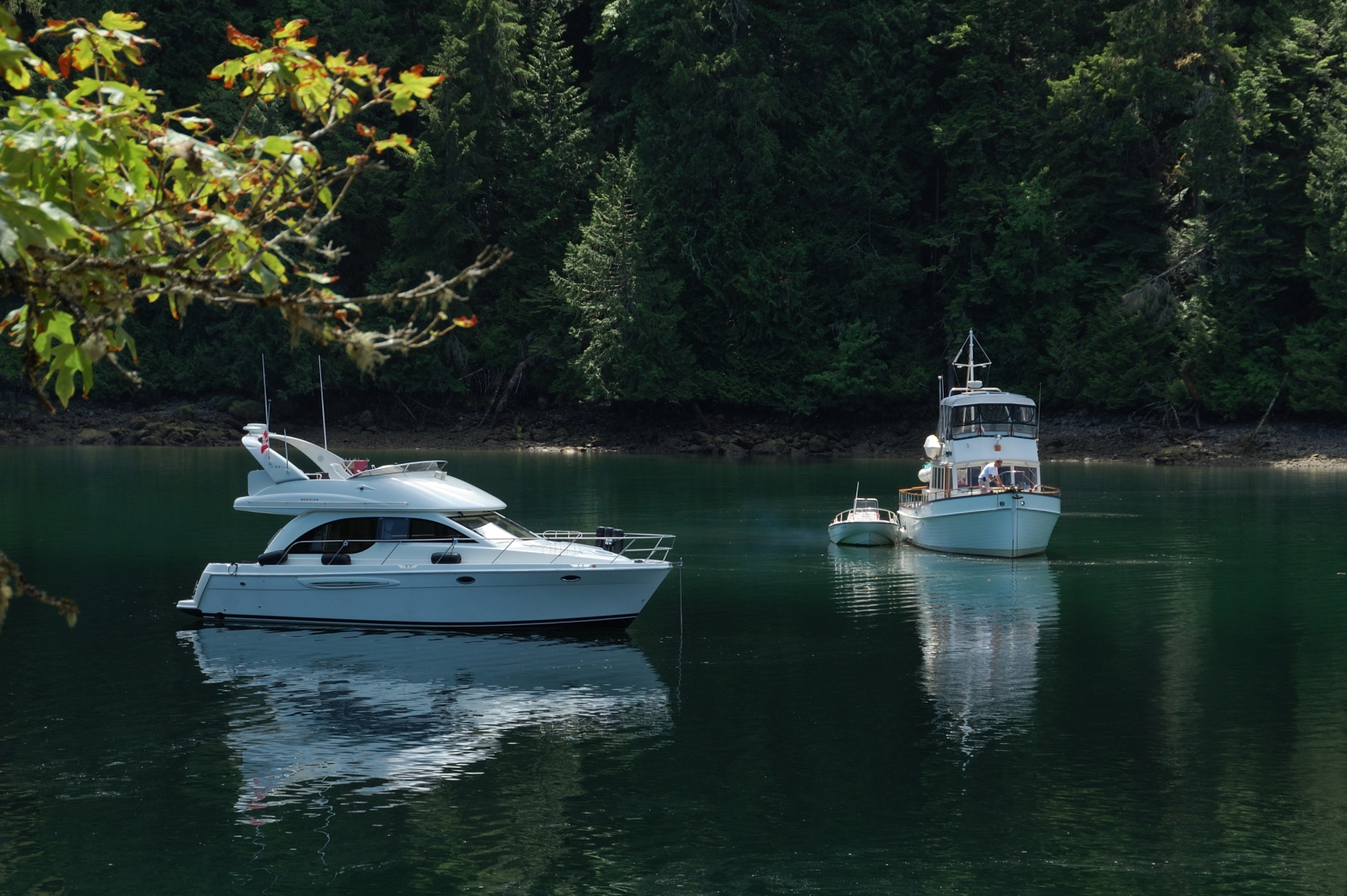 Tod Inlet - Freedom Marine Inc