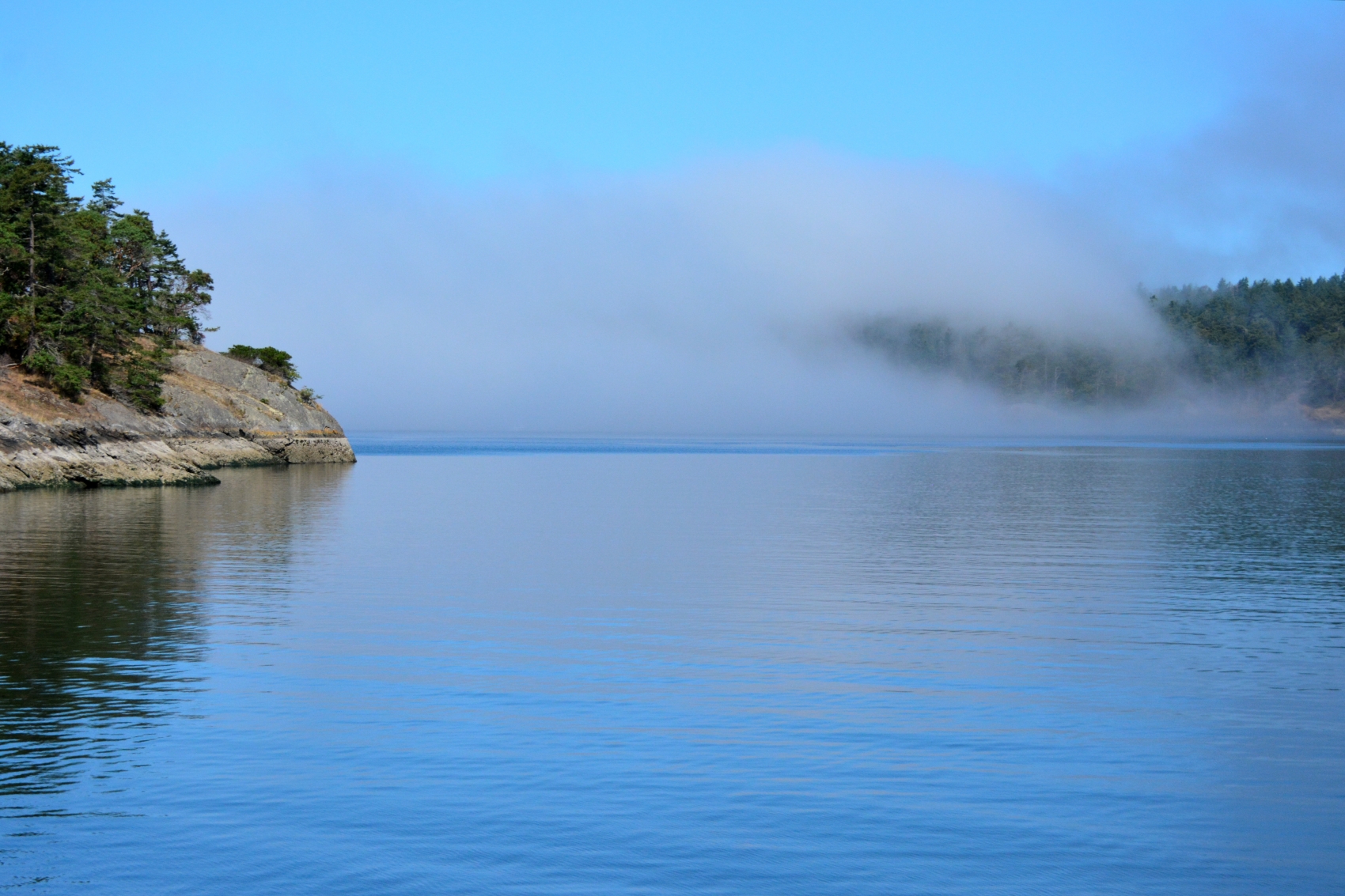 Navigation in the Fog - Freedom Marine Inc
