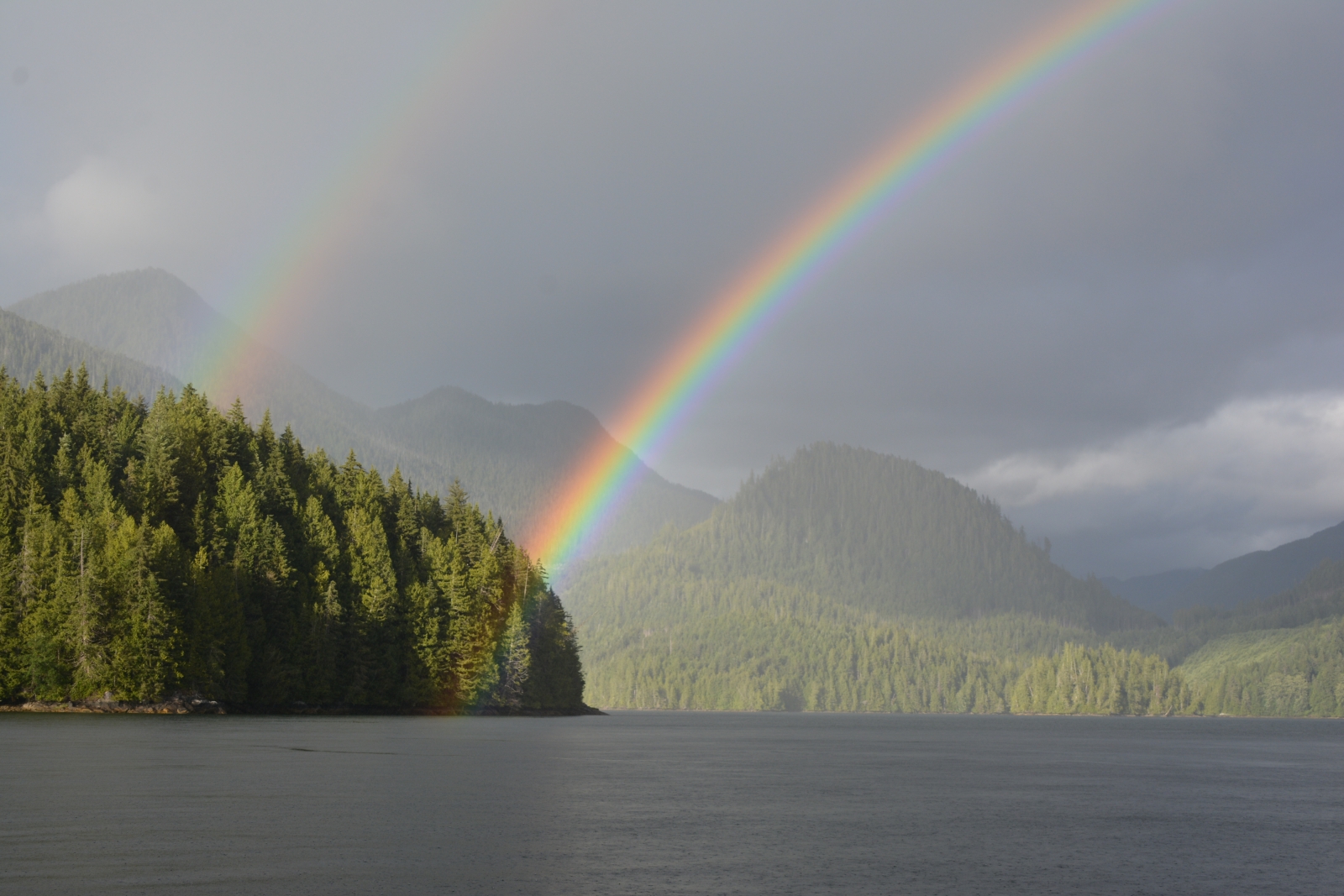 Getting the Most From Weather Observations - Freedom Marine Inc