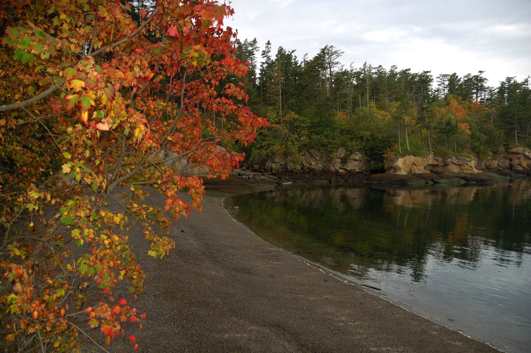 Autumn Boating on the Salish Sea - Freedom Marine Inc