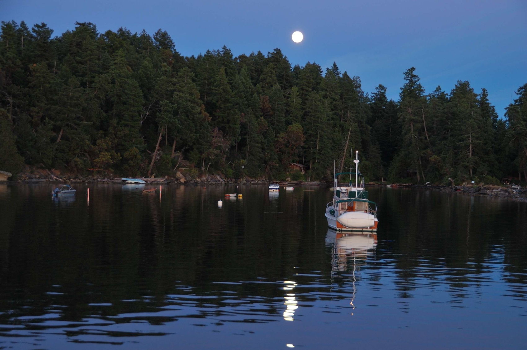 Autumn Boating on the Salish Sea - Freedom Marine Inc