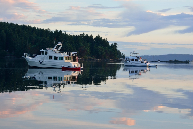 Clam Bay - Freedom Marine Inc